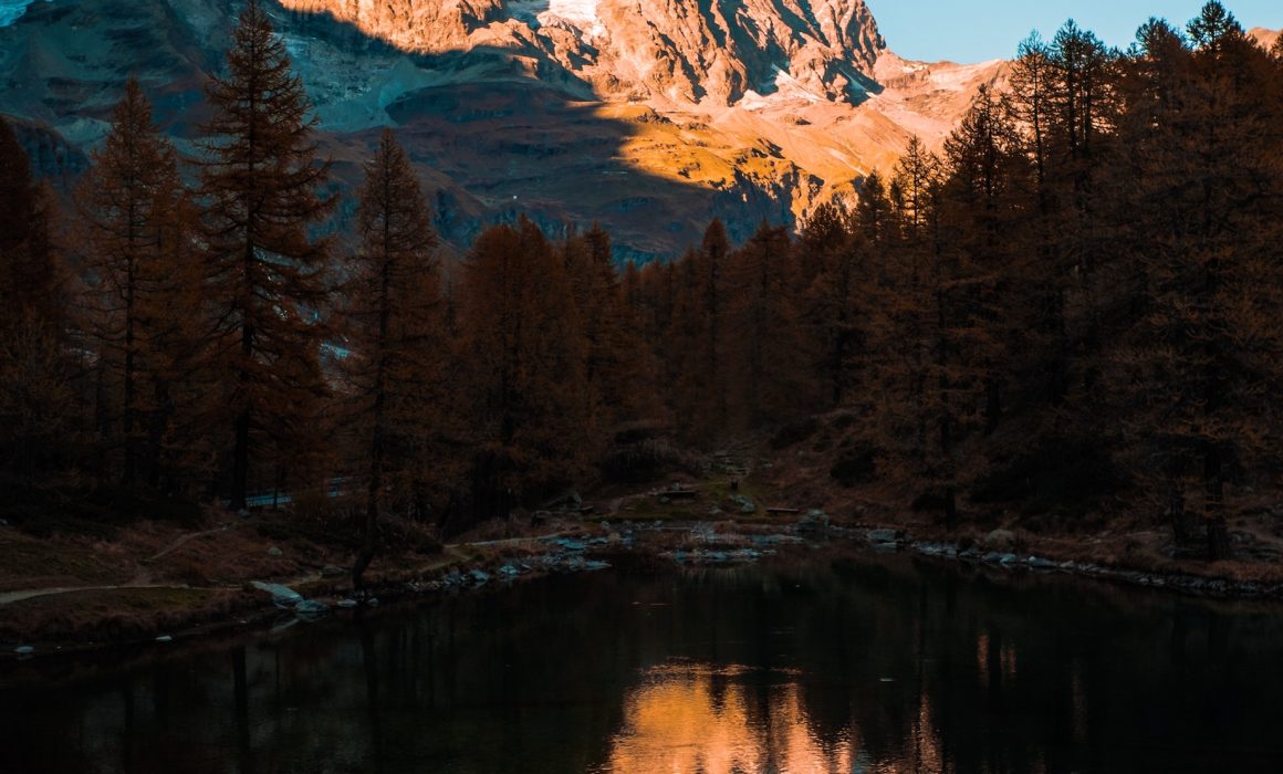 Reason for Climate Change Optimism | Veris Wealth Partners